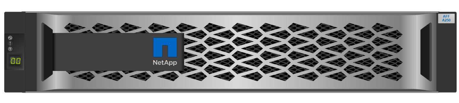 NetApp AFF A250